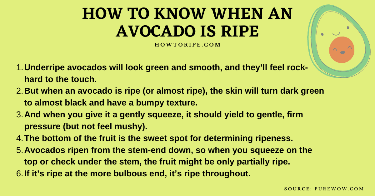How to Know When An Avocado is Ripe? - How To Ripe