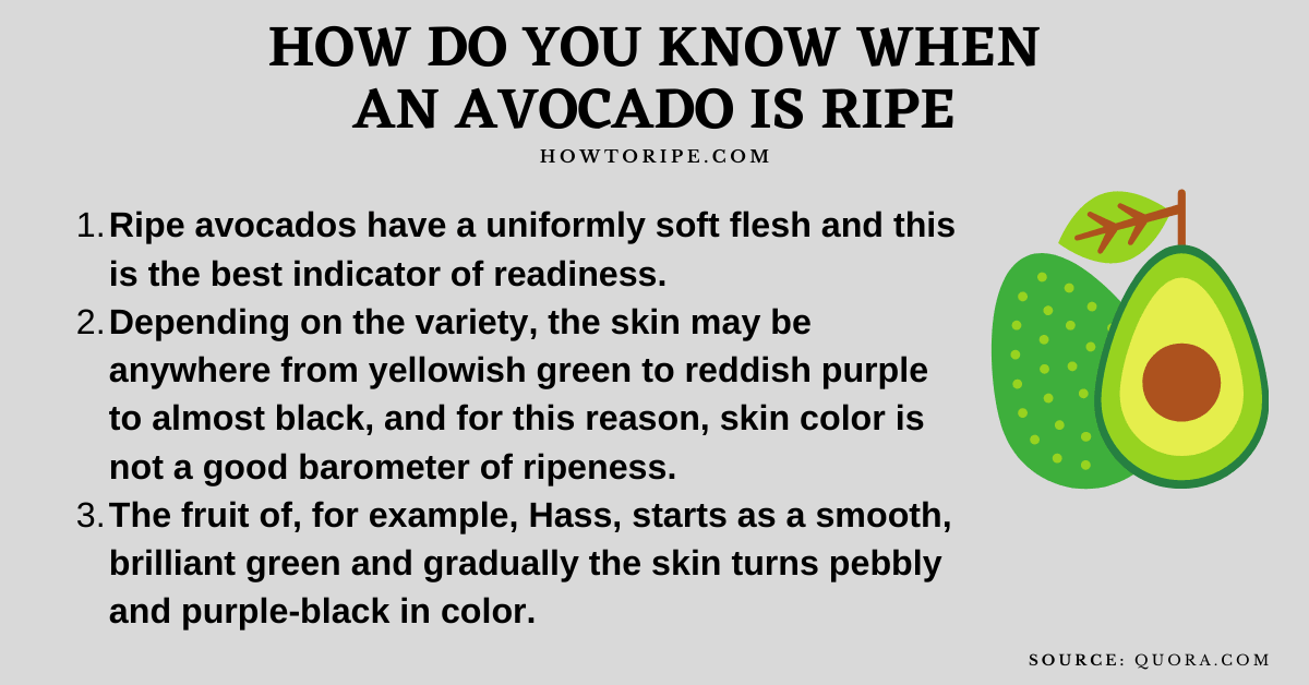How to Tell If An Avocado Is Ready to Eat? - How To Ripe