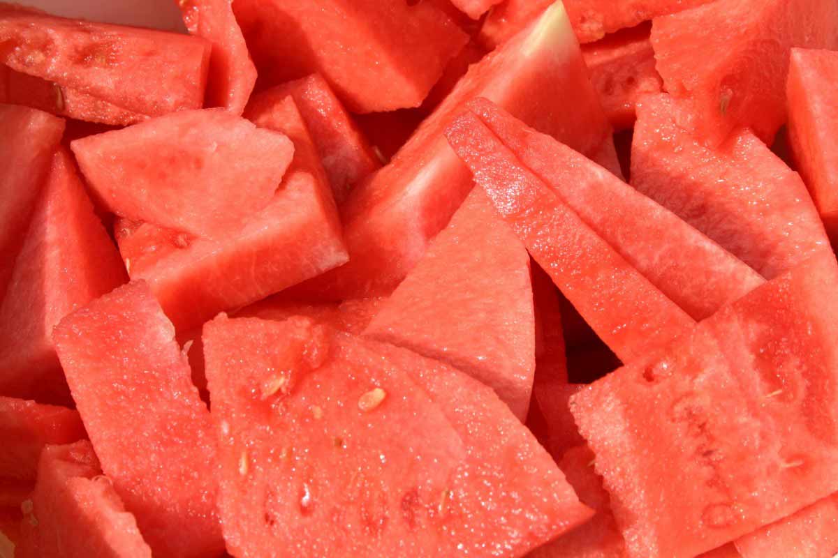 How to Ripen A Watermelon - Know When A Watermelon is Ripe - How To Ripe