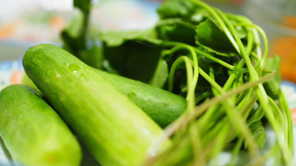 24 Health Nutrition Benefits of Eating Cucumber: Side Effects - How To Ripe