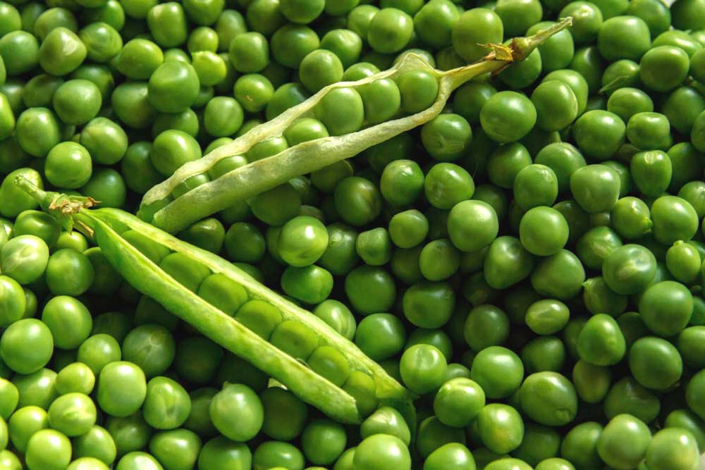 24 Proven Health Benefits of Eating Peas: Nutrition, Side Effects - How ...