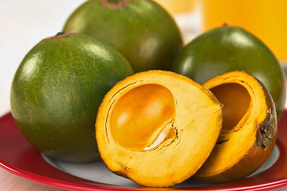15 Proven Health Benefits of Eating Lucuma Fruits - How To Ripe