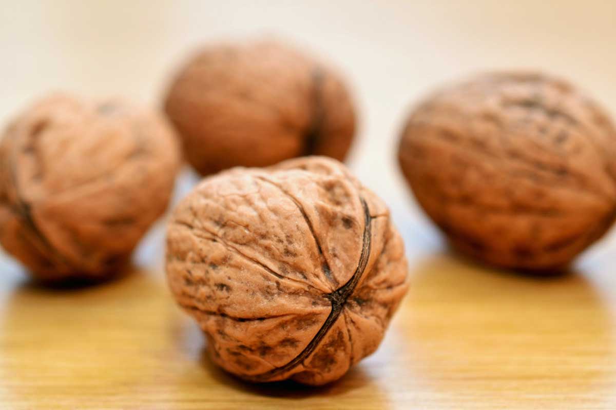 26 Health Benefits of Eating Walnuts, or Akhrot Everyday - How To Ripe