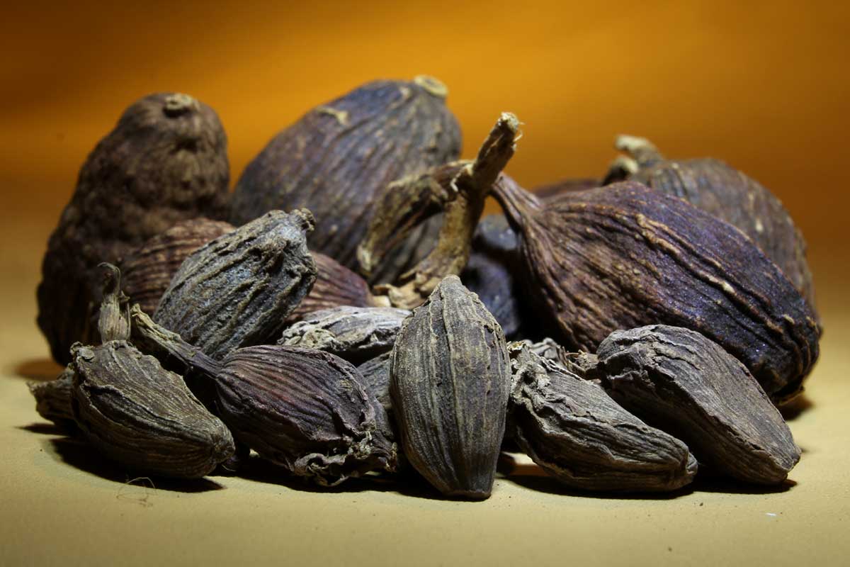 16 Science-Backed Health Benefits of Black Cardamom - How To Ripe