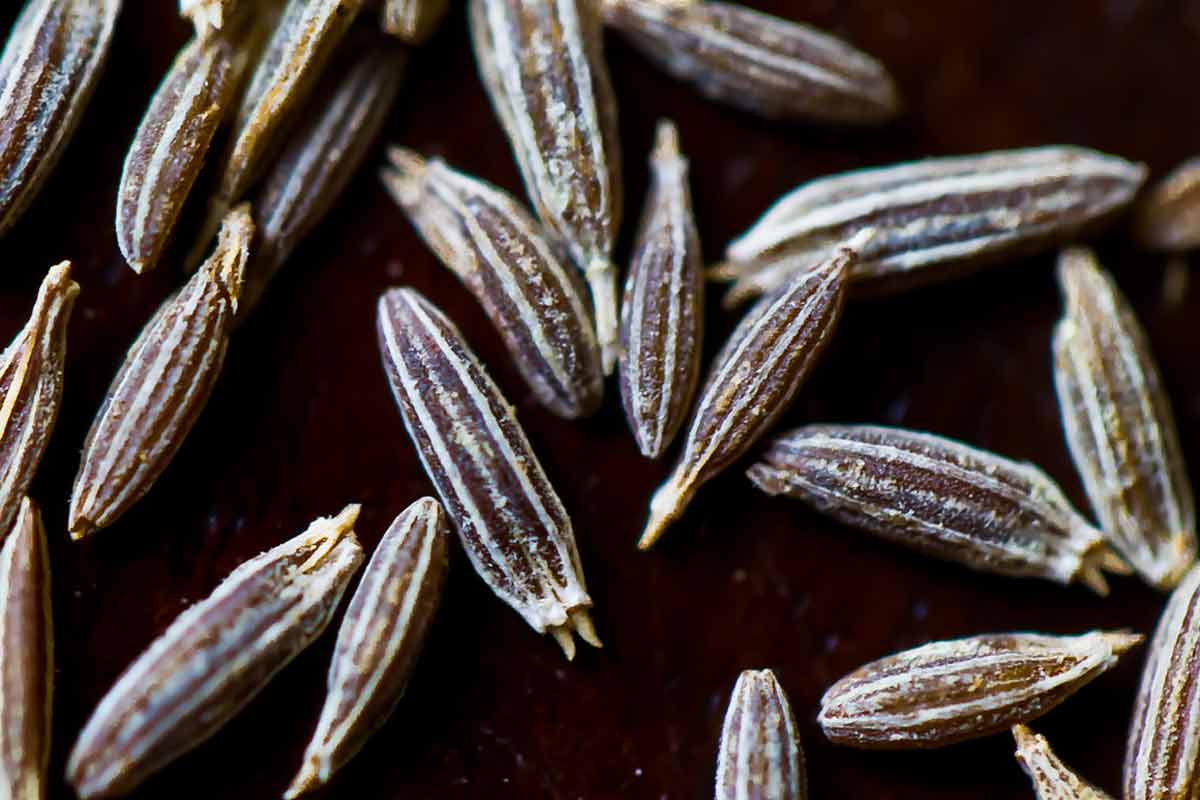 25 Science-Backed Health Benefits of Cumin or Jeera - How To Ripe