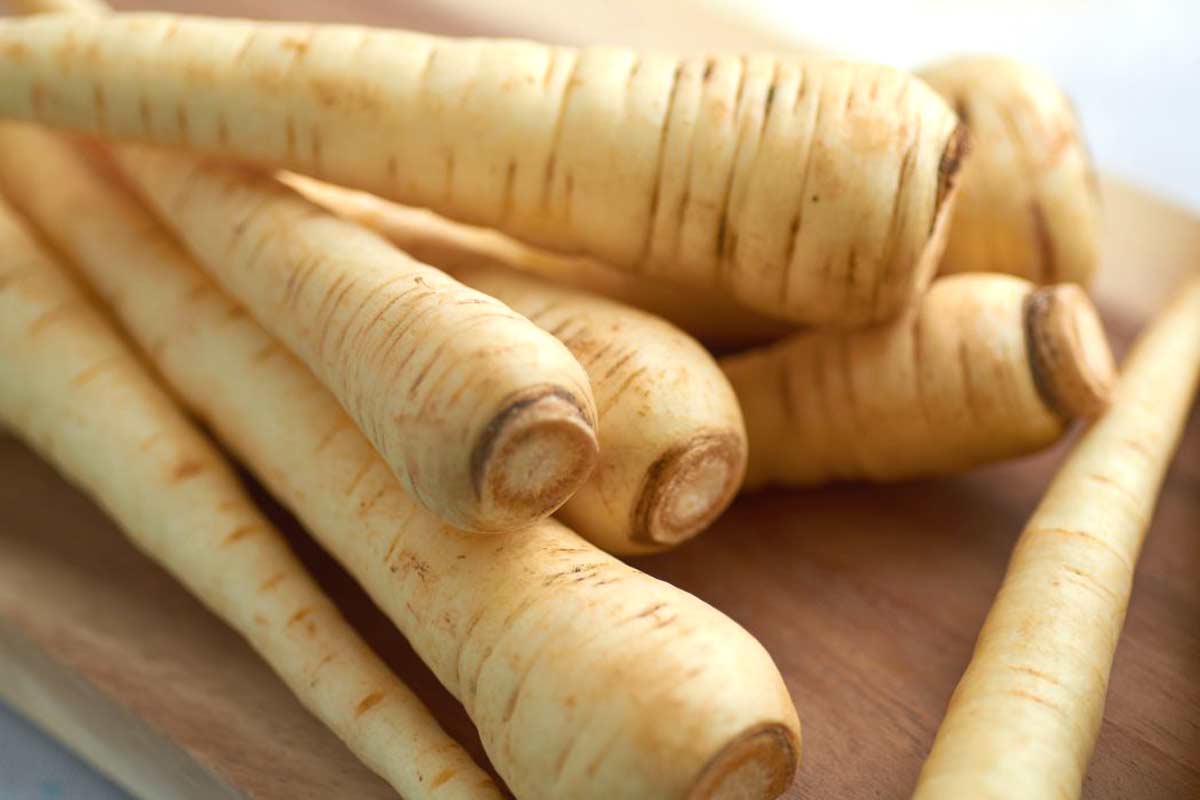 12 Scientifically Proven Health Benefits of Parsnips - How To Ripe 12 Scientifically Proven Health Benefits of Parsnips - How To Ripe