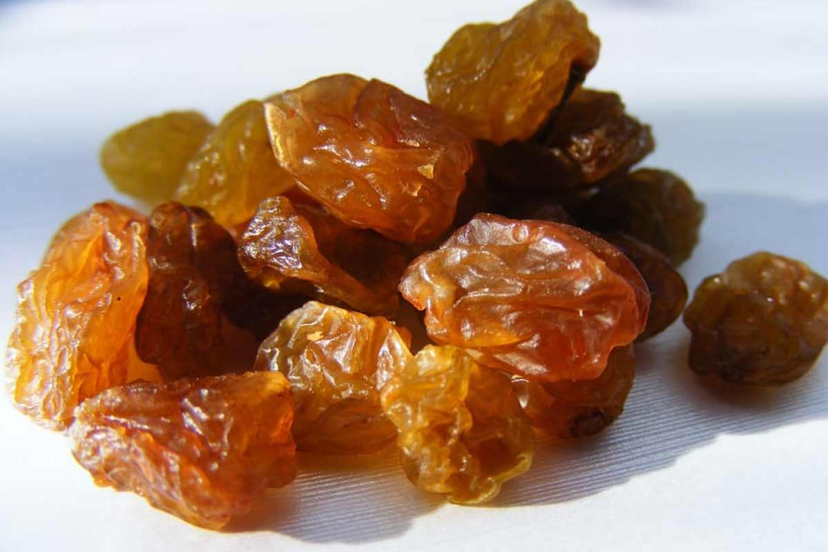 21 Science-Backed Health Benefits of Raisins - How To Ripe
