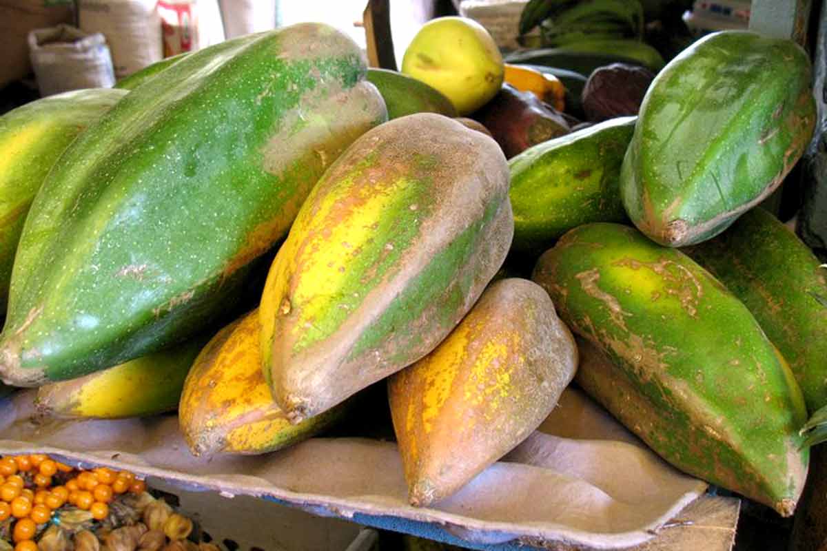 12 Nutritional Health Benefits of Eating Babaco Fruits - How To Ripe