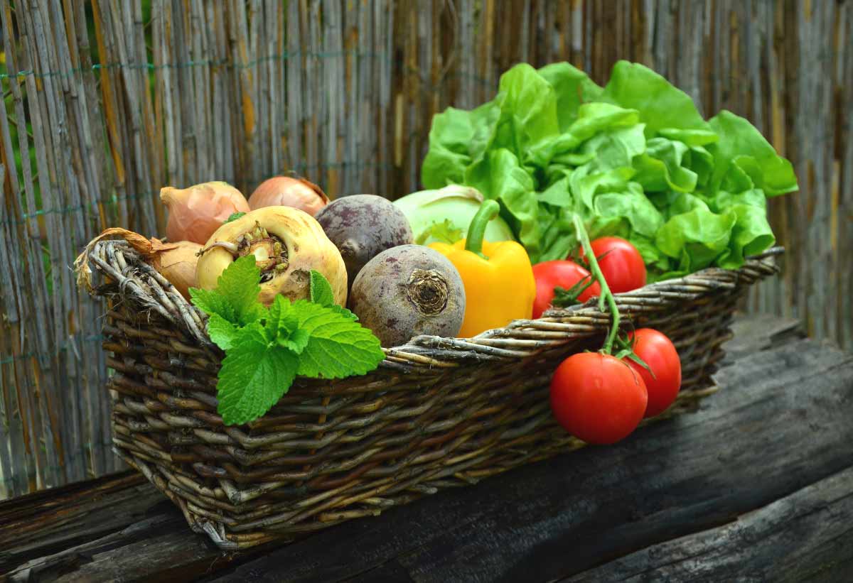 What Are the 18 Benefits of Eating Vegetables Everyday? - How To Ripe